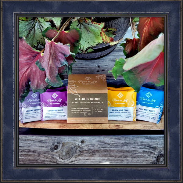 Tea - Wellness Blends Box - 12 Tea Bags - Wild Mountain Trading Co