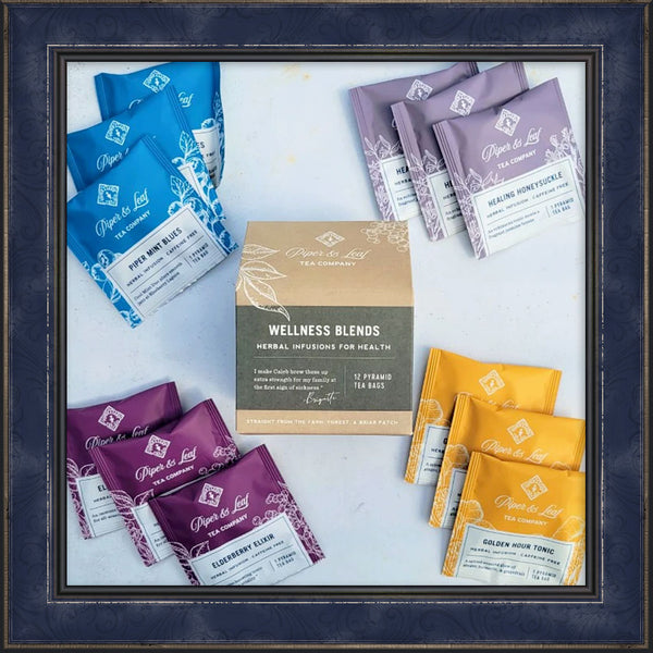 Tea - Wellness Blends Box - 12 Tea Bags - Wild Mountain Trading Co